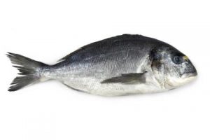 Dorade Royale - Seafoodia