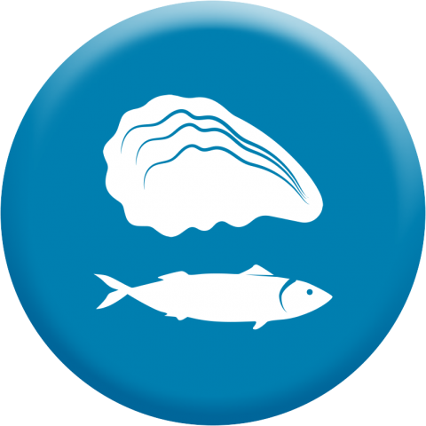 Seafoodia Seafoodia spécialiste vente et distribution de produits de la mer